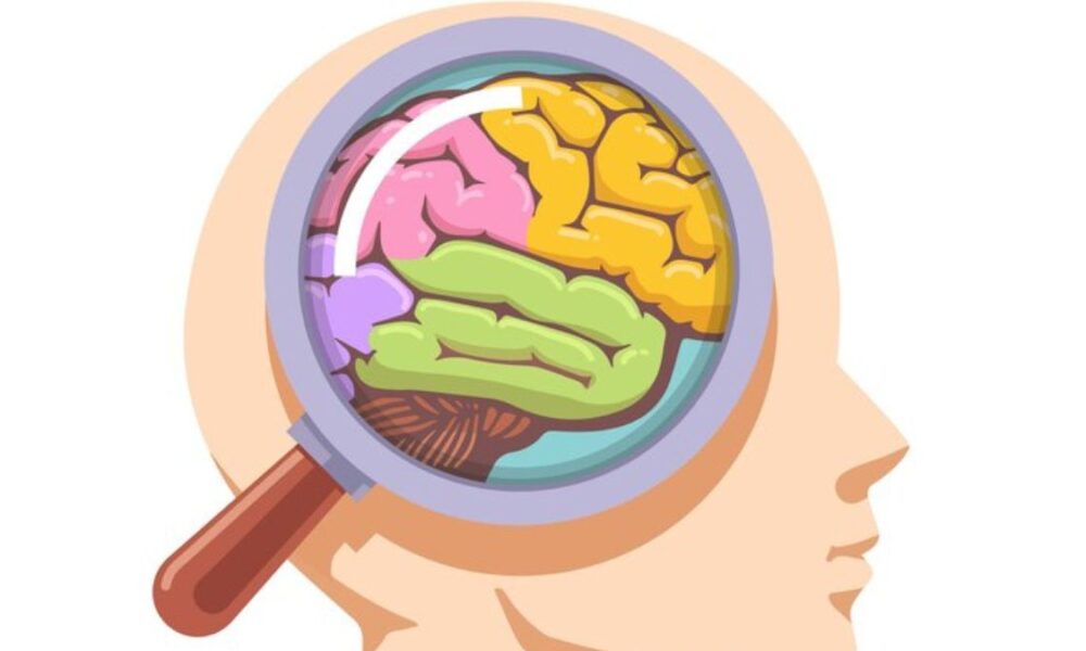 Brainpathjunction: Journey into the Brain Pathways Junction - Baddiehub